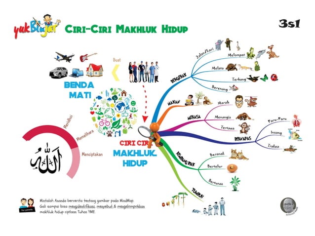 IPA 3s1 Mind Map Ciri Makhluk Hidup | PDF