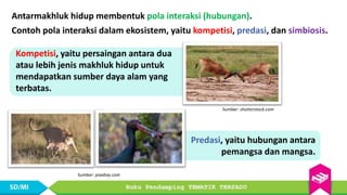 IPA 5 EKOSISTEM.pptx