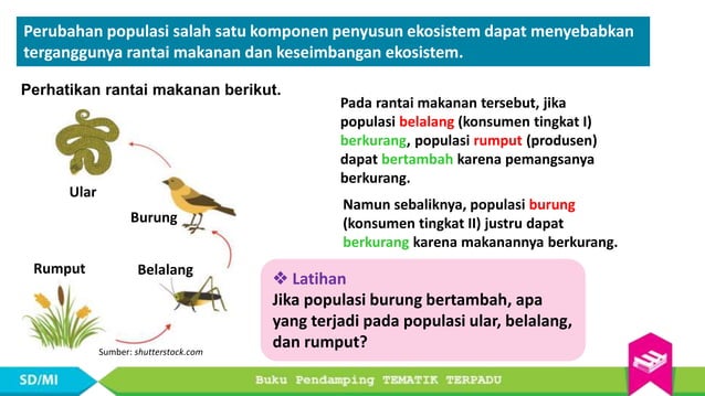 IPA 5 EKOSISTEM.pptx
