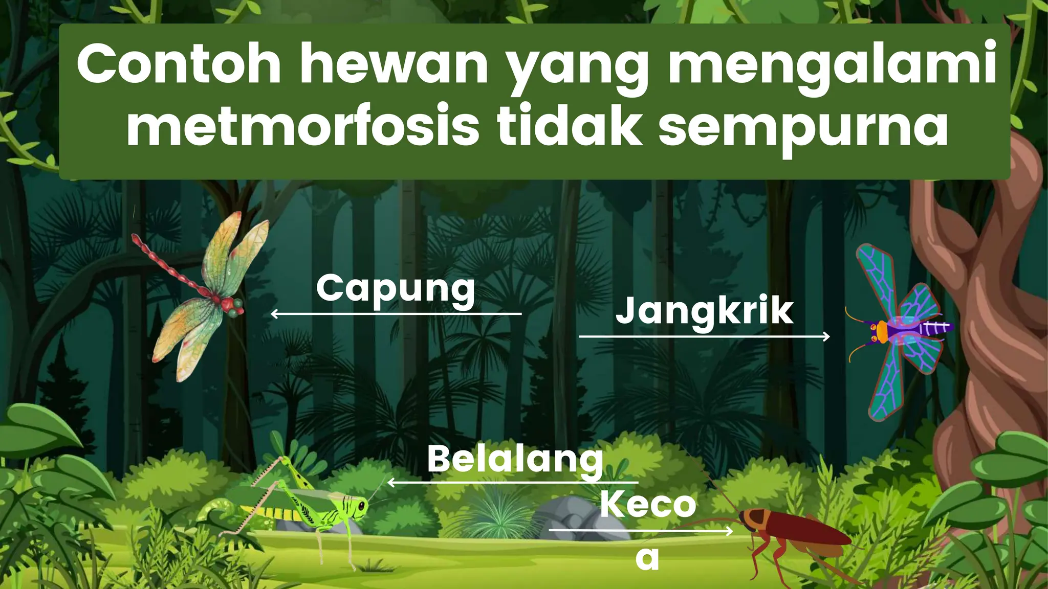 ipa perkembangbiakan mahluk hidup88.pptx