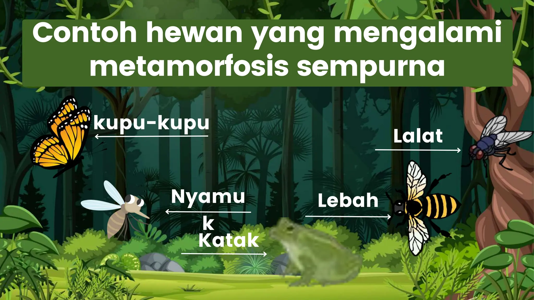 ipa perkembangbiakan mahluk hidup88.pptx