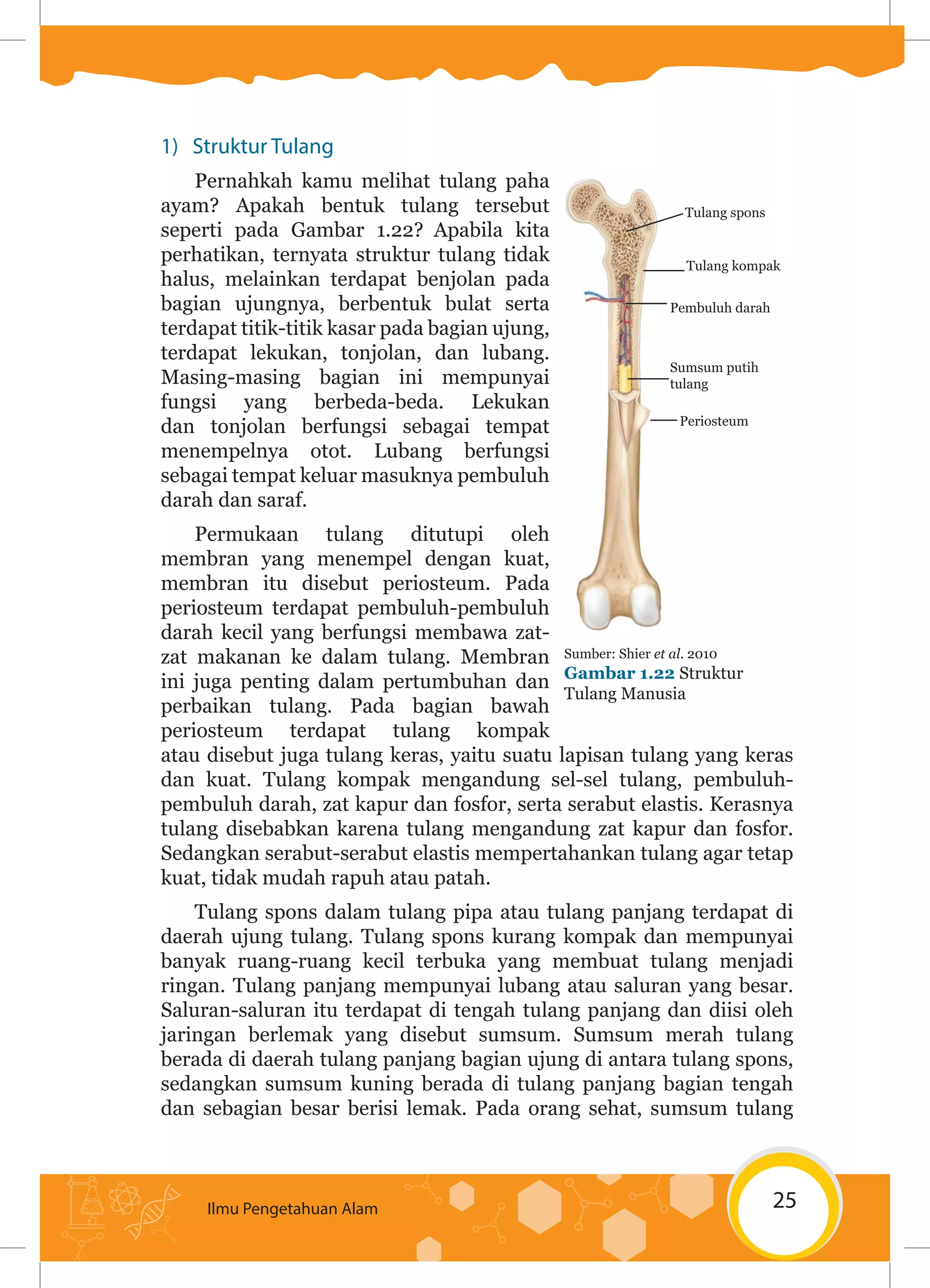 Ipa8 kd1-sistem gerak manusia | PDF