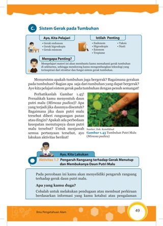 Ipa8 kd1-sistem gerak tumbuhan | PDF