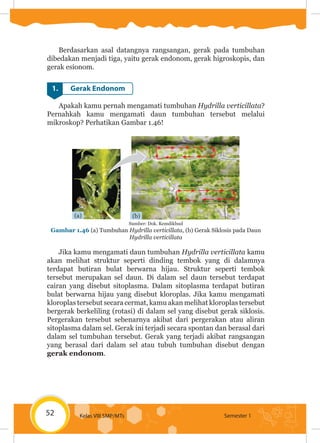 Ipa8 kd1-sistem gerak tumbuhan | PDF