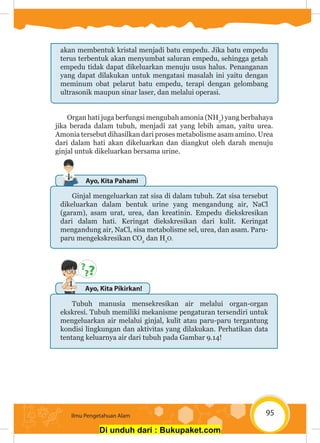 Ipa8 kd10-struktur dan fungsi sistem ekskresi pada manusia | PDF