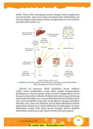 Ipa8 kd10-struktur dan fungsi sistem ekskresi pada manusia | PDF