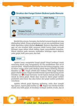 Ipa8 kd10-struktur dan fungsi sistem ekskresi pada manusia | PDF