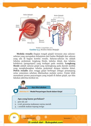 Ipa8 kd10-struktur dan fungsi sistem ekskresi pada manusia | PDF