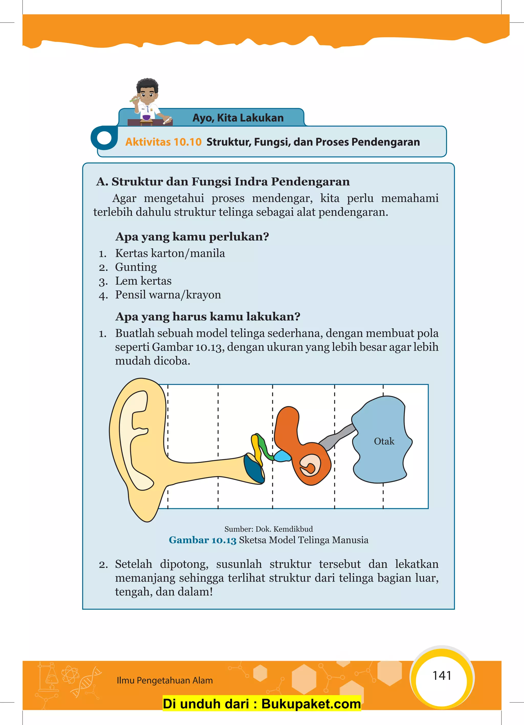 Ipa8 kd11-mekanisme mendengar pada manusia dan hewan | PDF