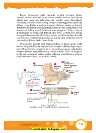 Ipa8 kd11-mekanisme mendengar pada manusia dan hewan | PDF