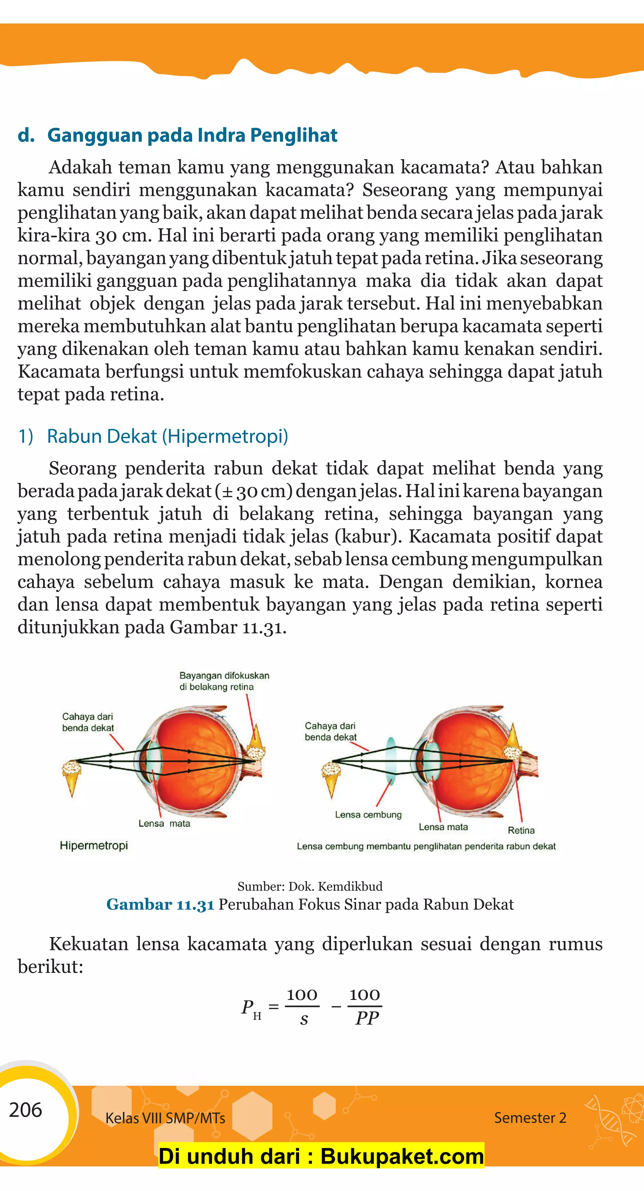 Ipa8 kd12-indra penglihatan manusia dan hewan | PDF