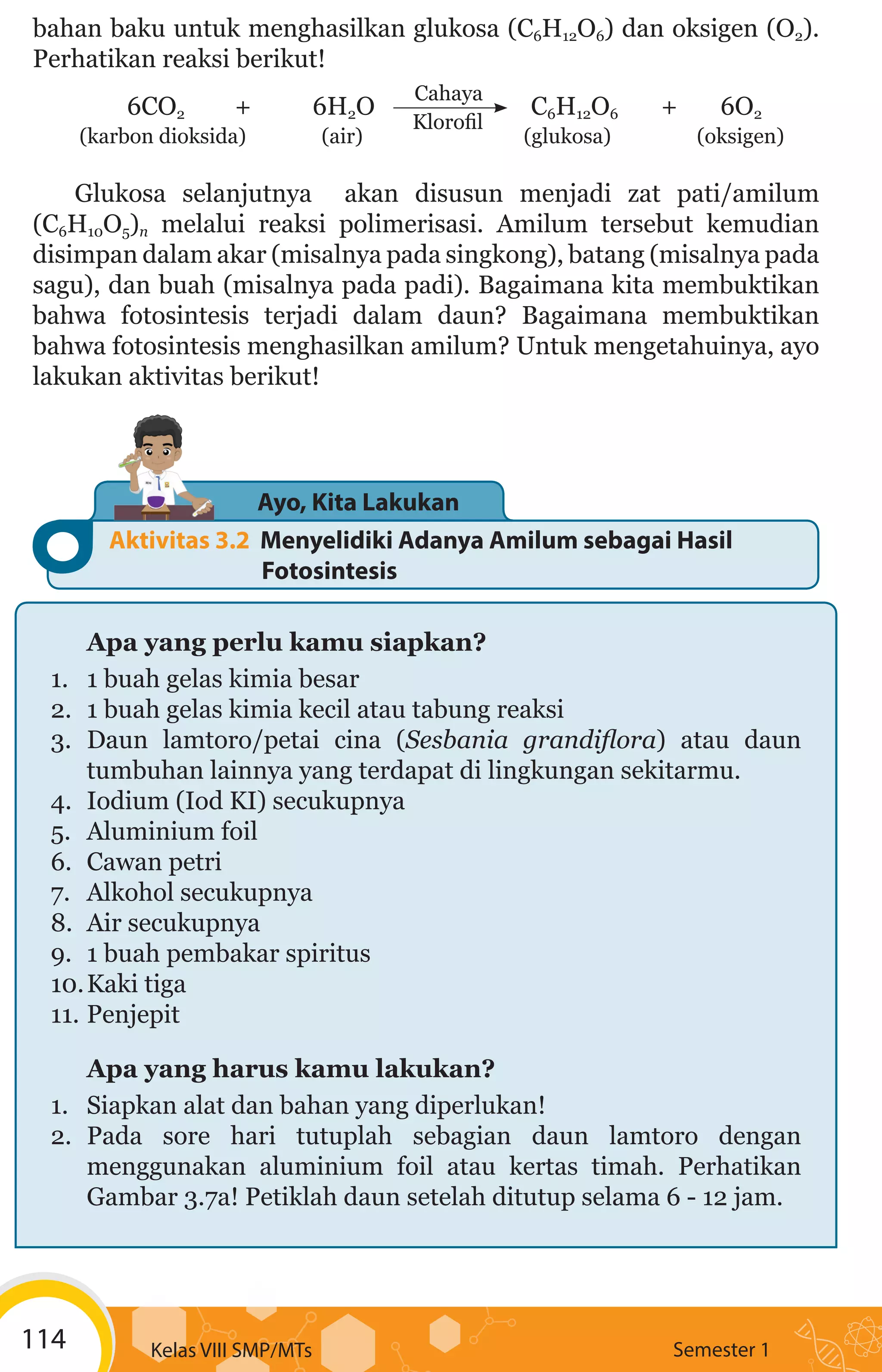 Ipa 8 kd4 struktur dan fungsi akar batang daun dan bunga | PDF