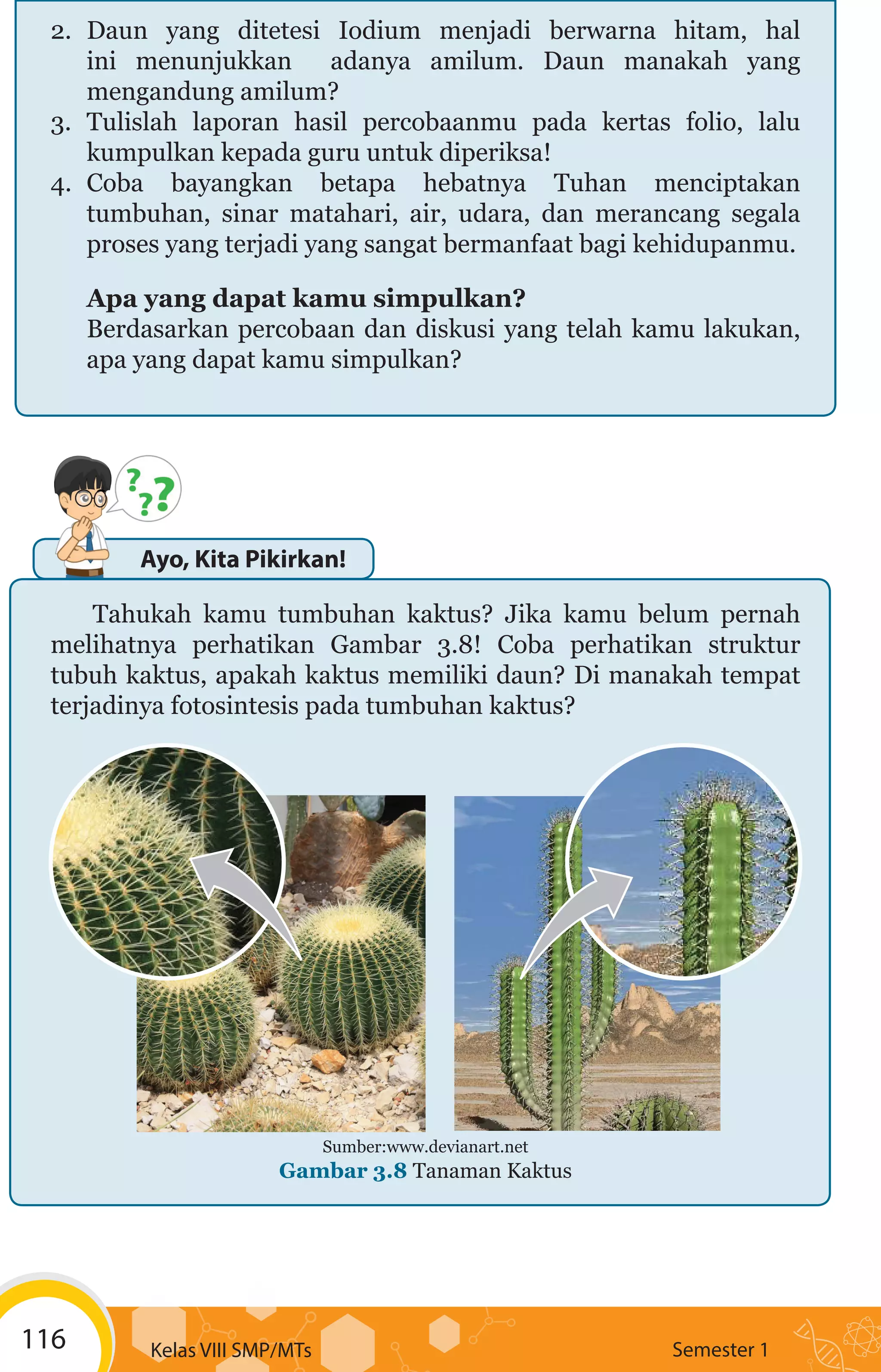 Ipa 8 kd4 struktur dan fungsi akar batang daun dan bunga | PDF
