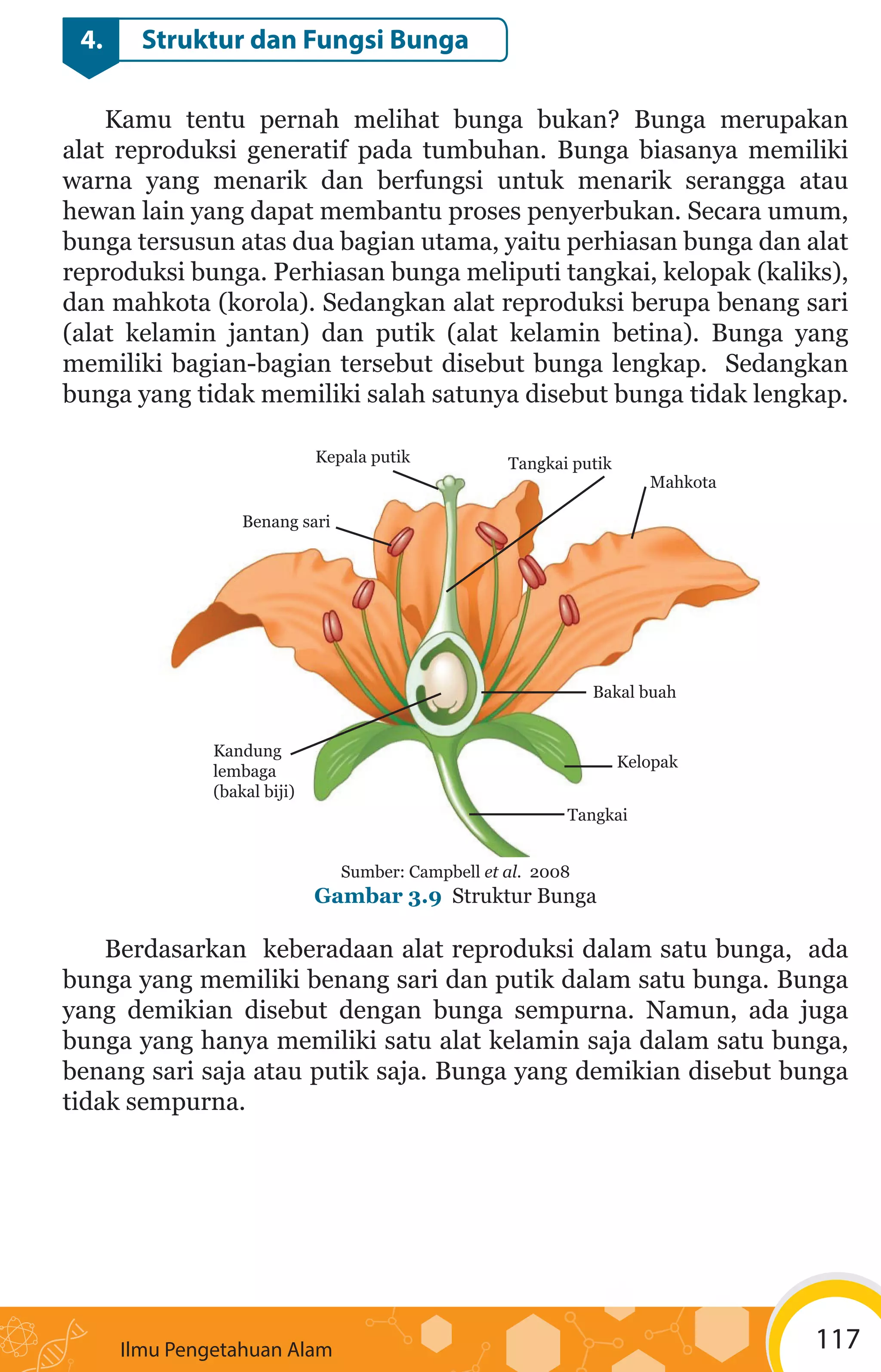 Ipa 8 kd4 struktur dan fungsi akar batang daun dan bunga | PDF