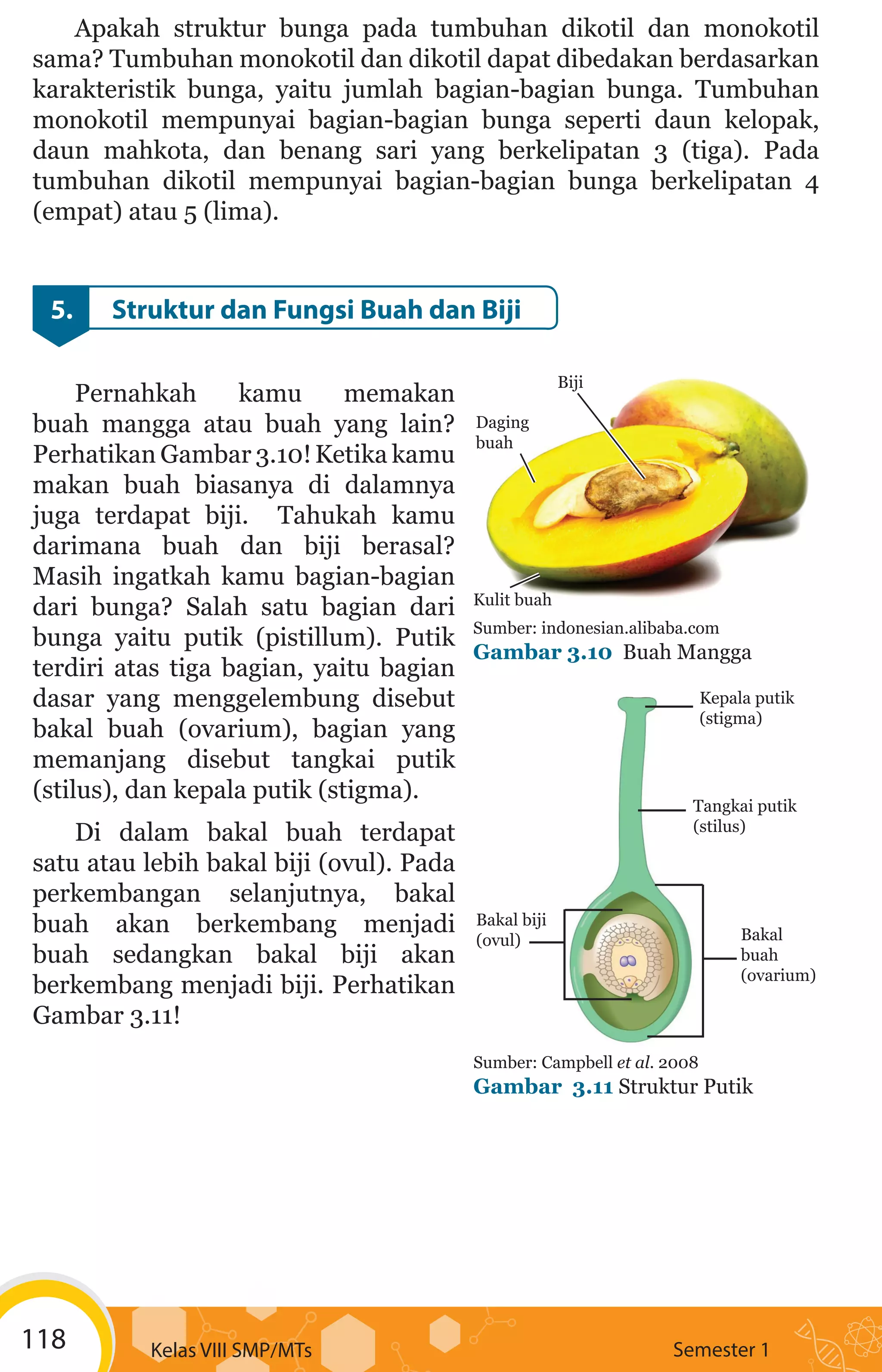 Ipa 8 kd4 struktur dan fungsi akar batang daun dan bunga | PDF