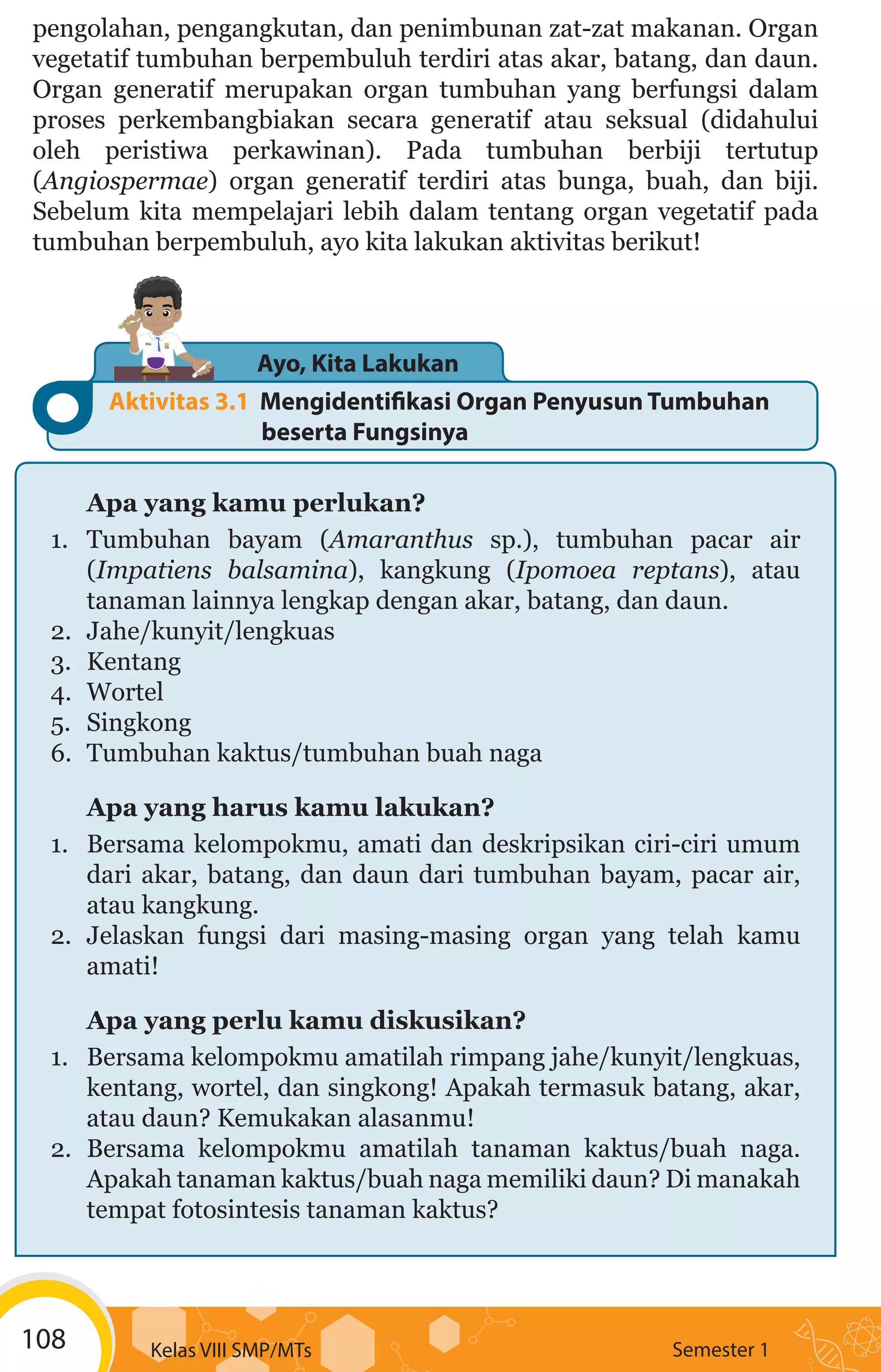 Ipa 8 kd4 struktur dan fungsi akar batang daun dan bunga | PDF