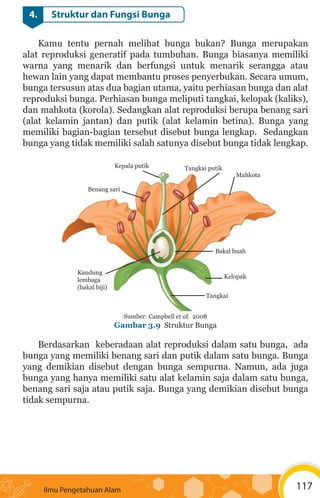 Ipa 8 kd4 struktur dan fungsi akar batang daun dan bunga | PDF
