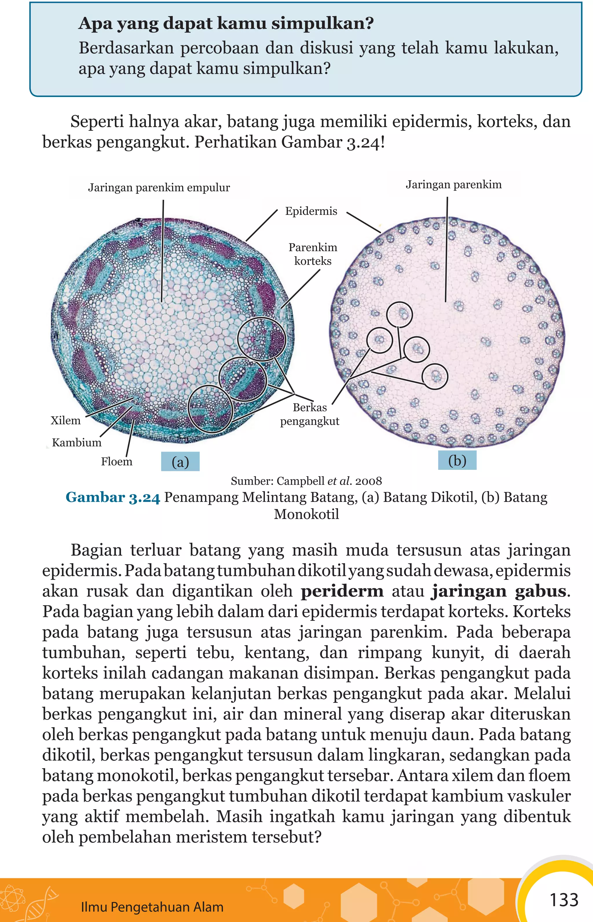 Ipa 8 kd4 struktur dan fungsi jaringan tumbuhan | PDF