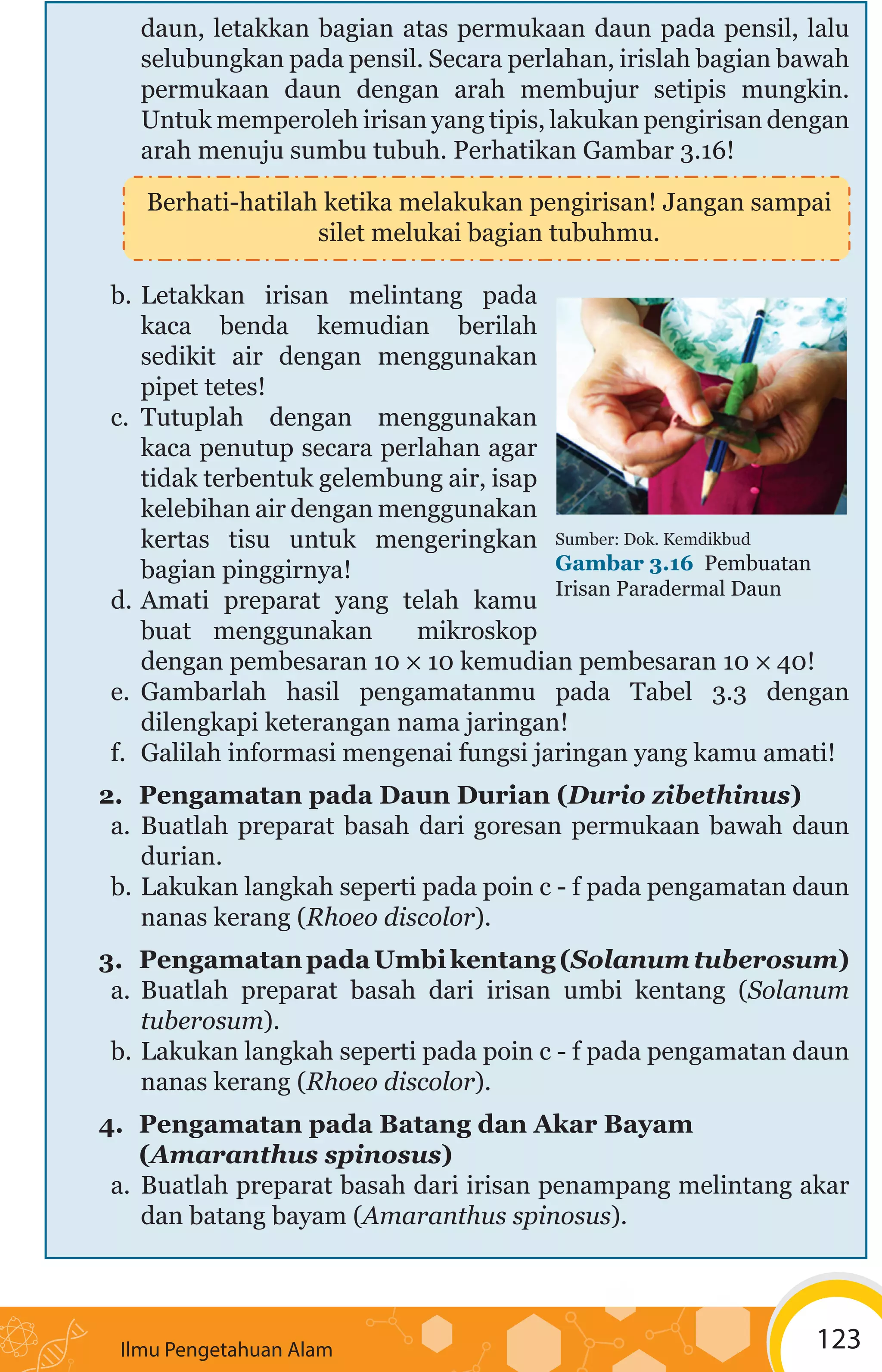 Ipa 8 kd4 struktur dan fungsi jaringan tumbuhan | PDF