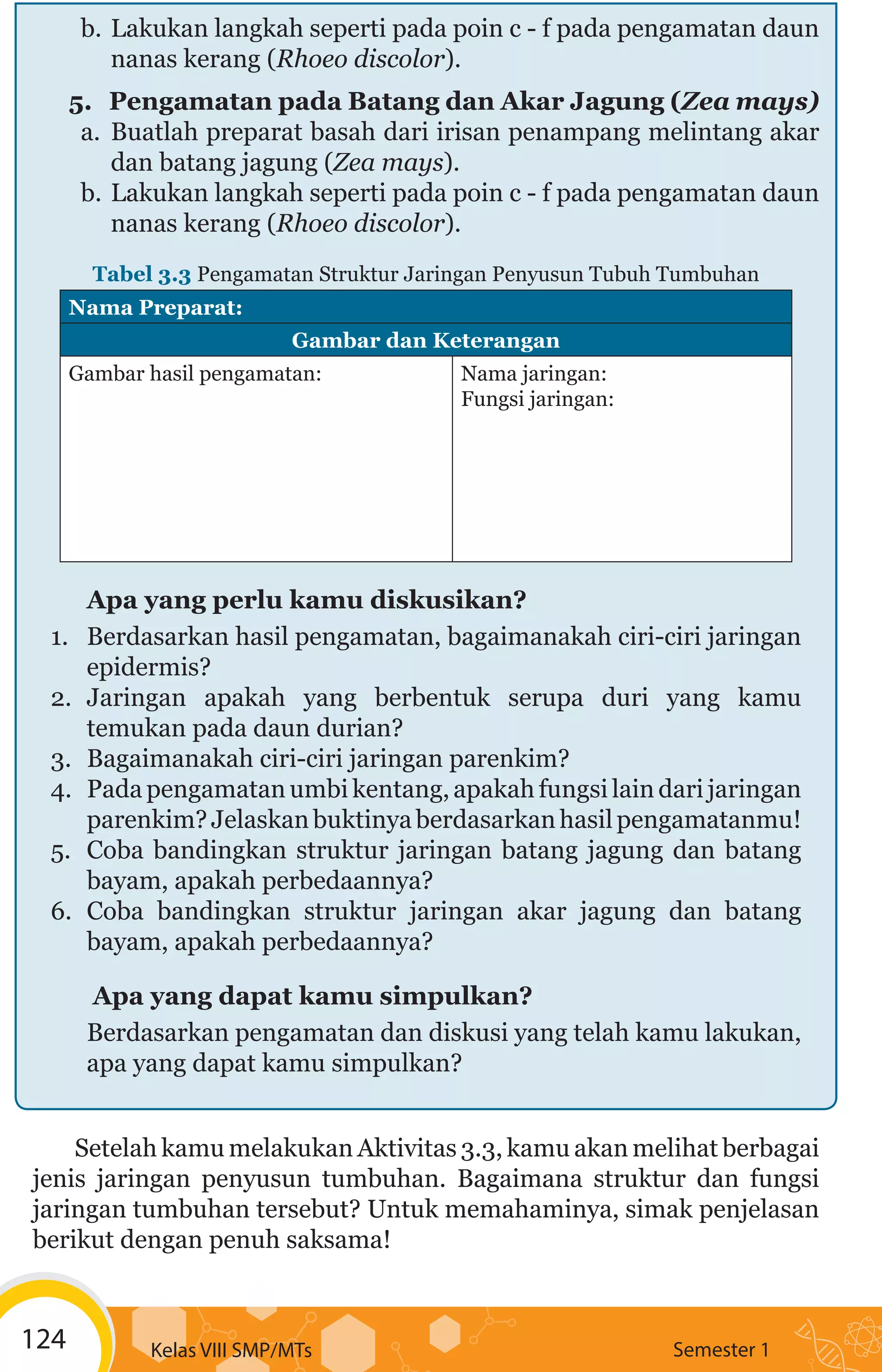 Ipa 8 kd4 struktur dan fungsi jaringan tumbuhan | PDF