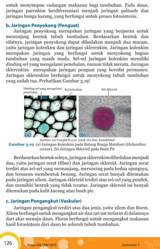 Ipa 8 kd4 struktur dan fungsi jaringan tumbuhan | PDF