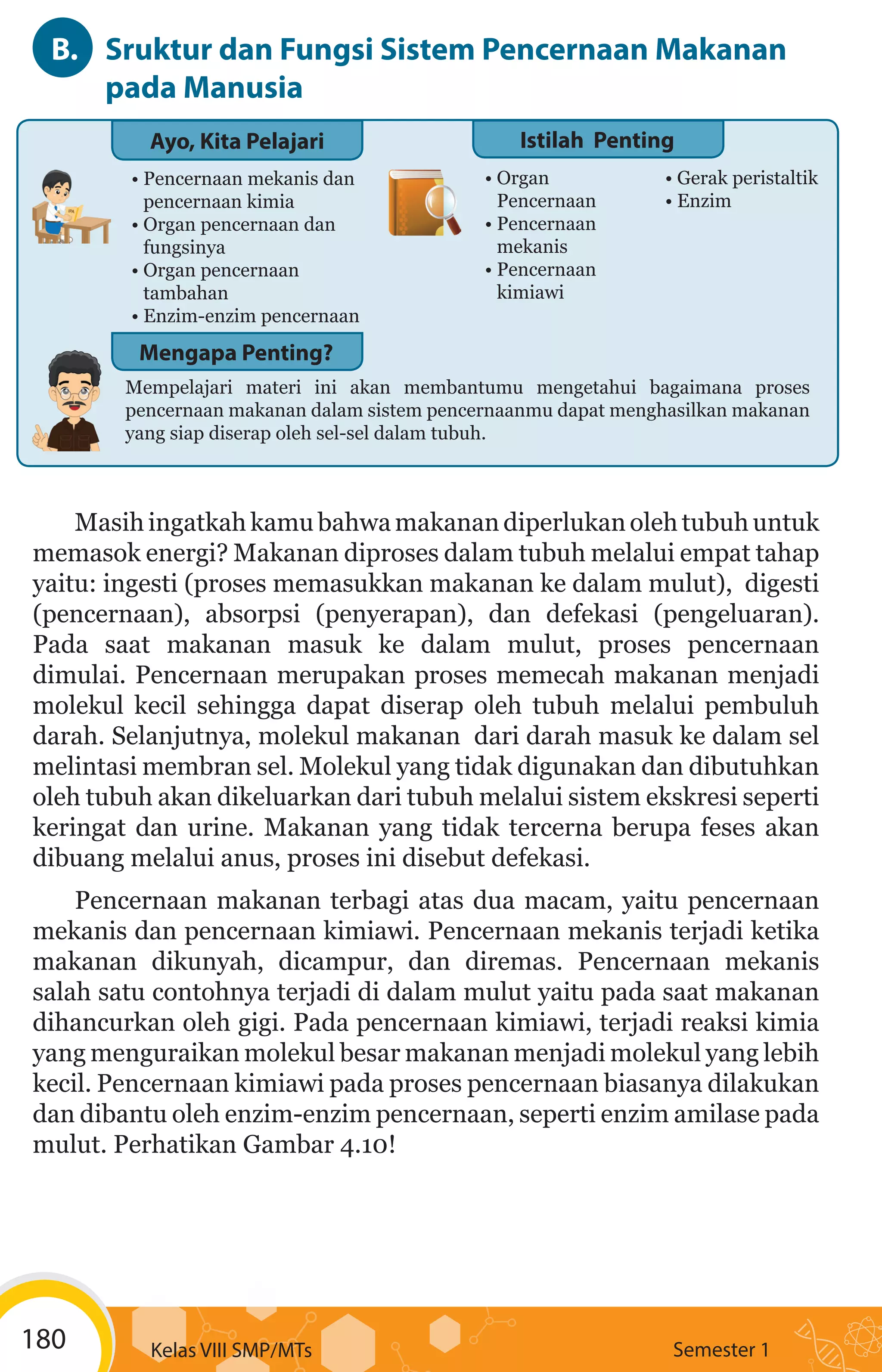 Ipa8 kd5-sruktur dan fungsi sistem pencernaan makanan pada manusia | PDF