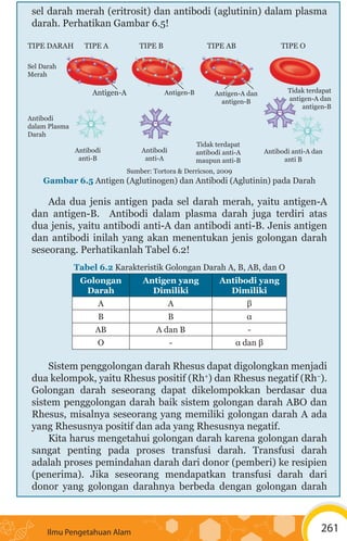 Ipa8 kd7-struktur dan fungsi sistem peredaran darah | PDF
