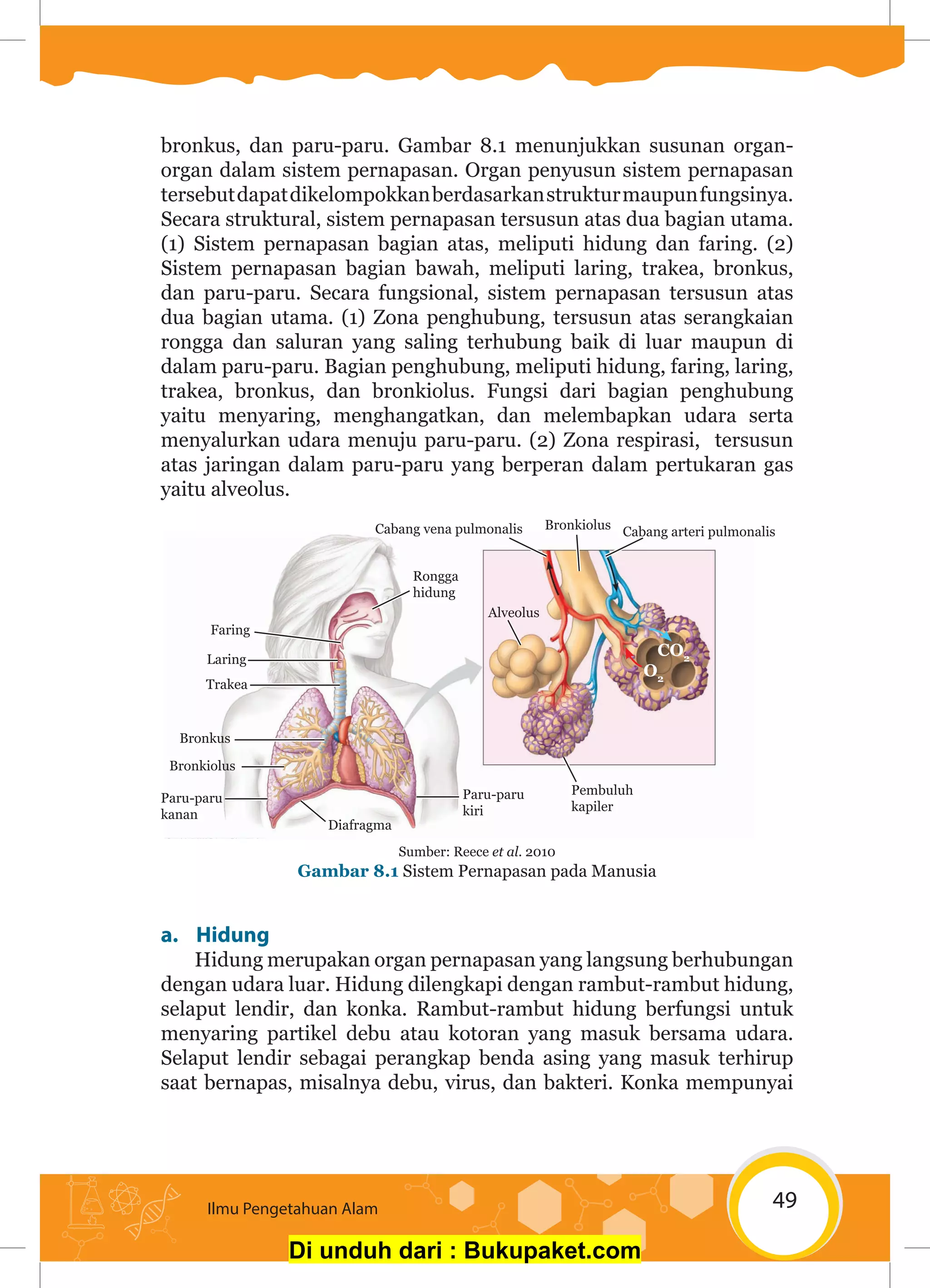 Ipa8 kd9-struktur dan fungsi sistem pernapasan manusia | PDF