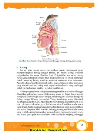 Ipa8 kd9-struktur dan fungsi sistem pernapasan manusia | PDF