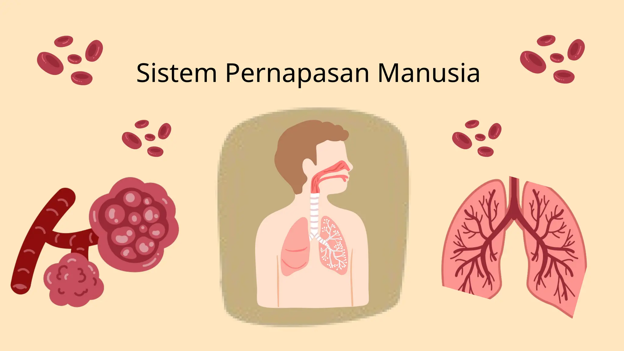 Sistem dan mekanisme pernapasan (respirasi) manusia | PPTX