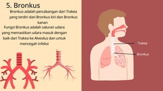 Sistem dan mekanisme pernapasan (respirasi) manusia | PPTX