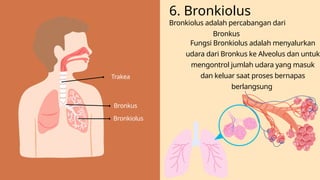 Sistem dan mekanisme pernapasan (respirasi) manusia | PPTX