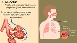 Sistem dan mekanisme pernapasan (respirasi) manusia | PPTX