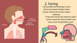 Sistem dan mekanisme pernapasan (respirasi) manusia | PPTX