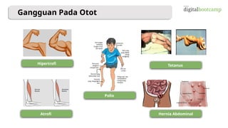 IPA_8SMP_Rangka dan Otot 3.pptx123456789 | PPT