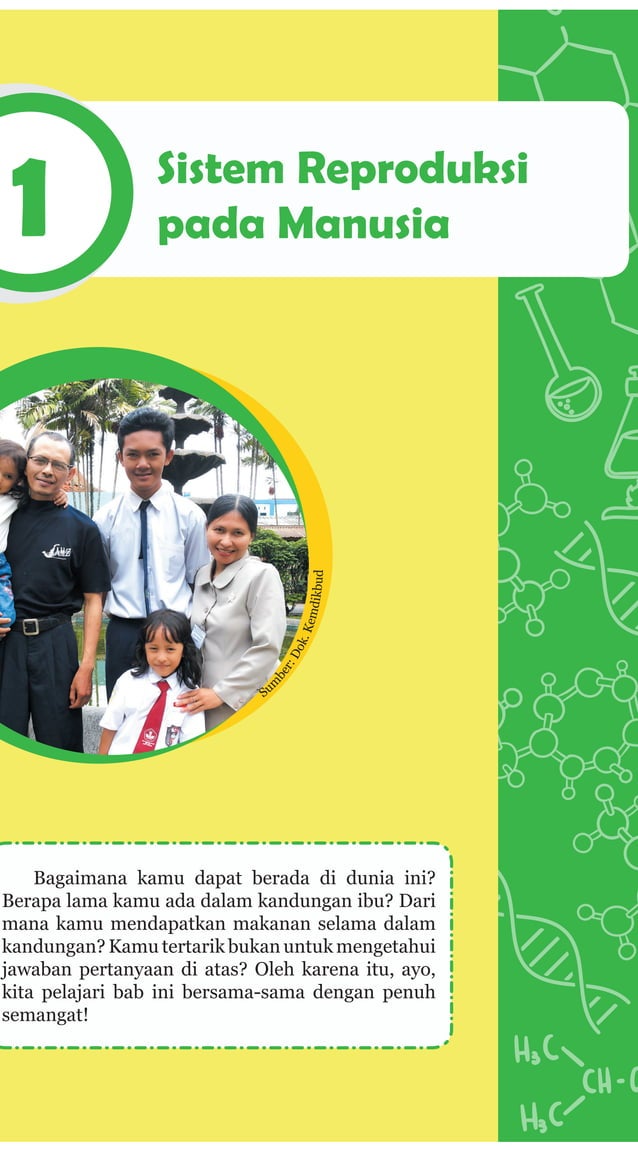 Ipa9 kd1-sistem reproduksi pada manusia | PDF