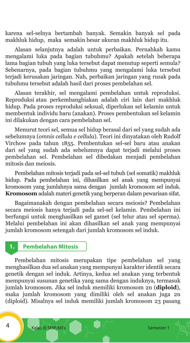 Ipa9 kd1-sistem reproduksi pada manusia | PDF