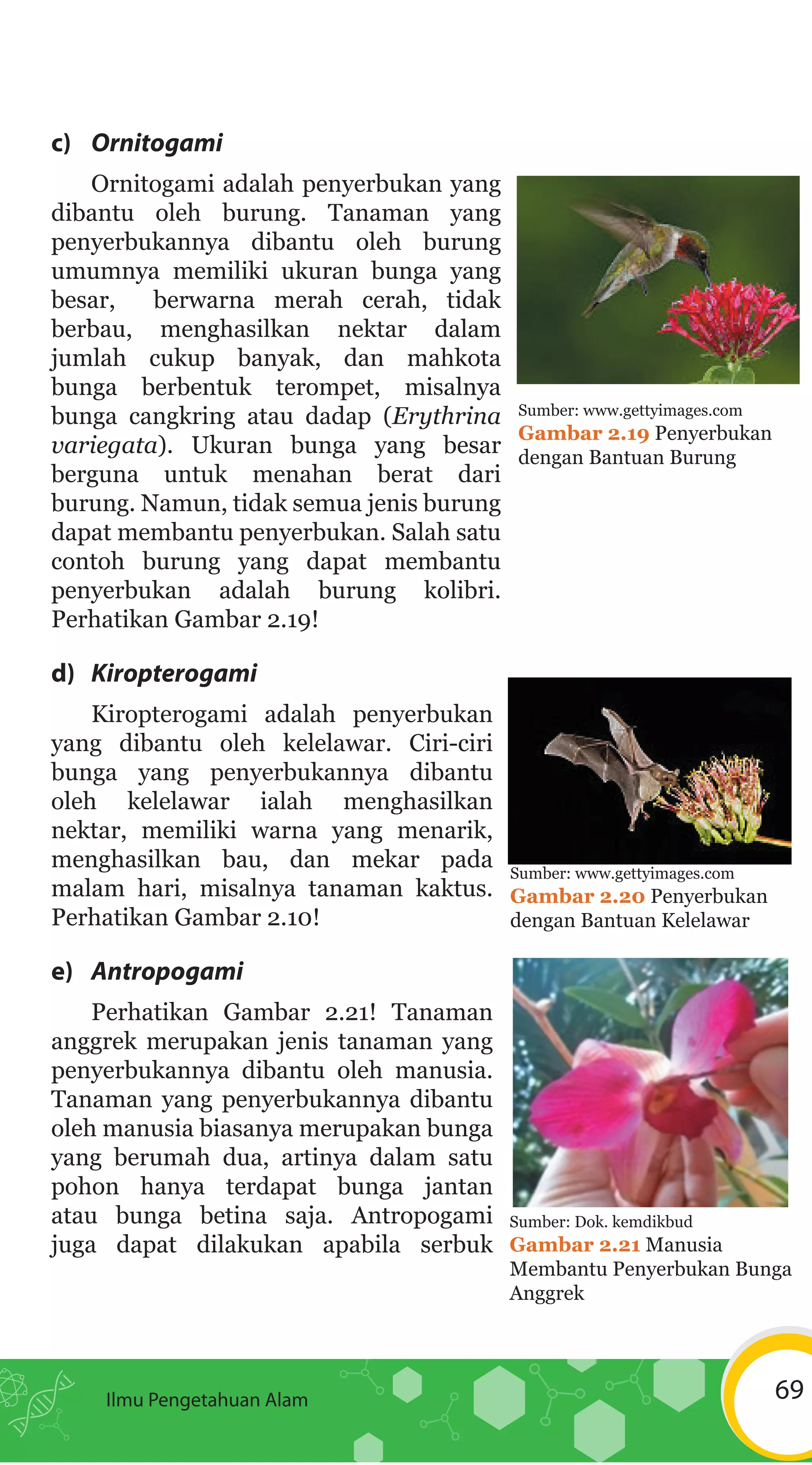 Ipa9 kd2-sistem perkembangbiakan tumbuhan dan hewan | PDF