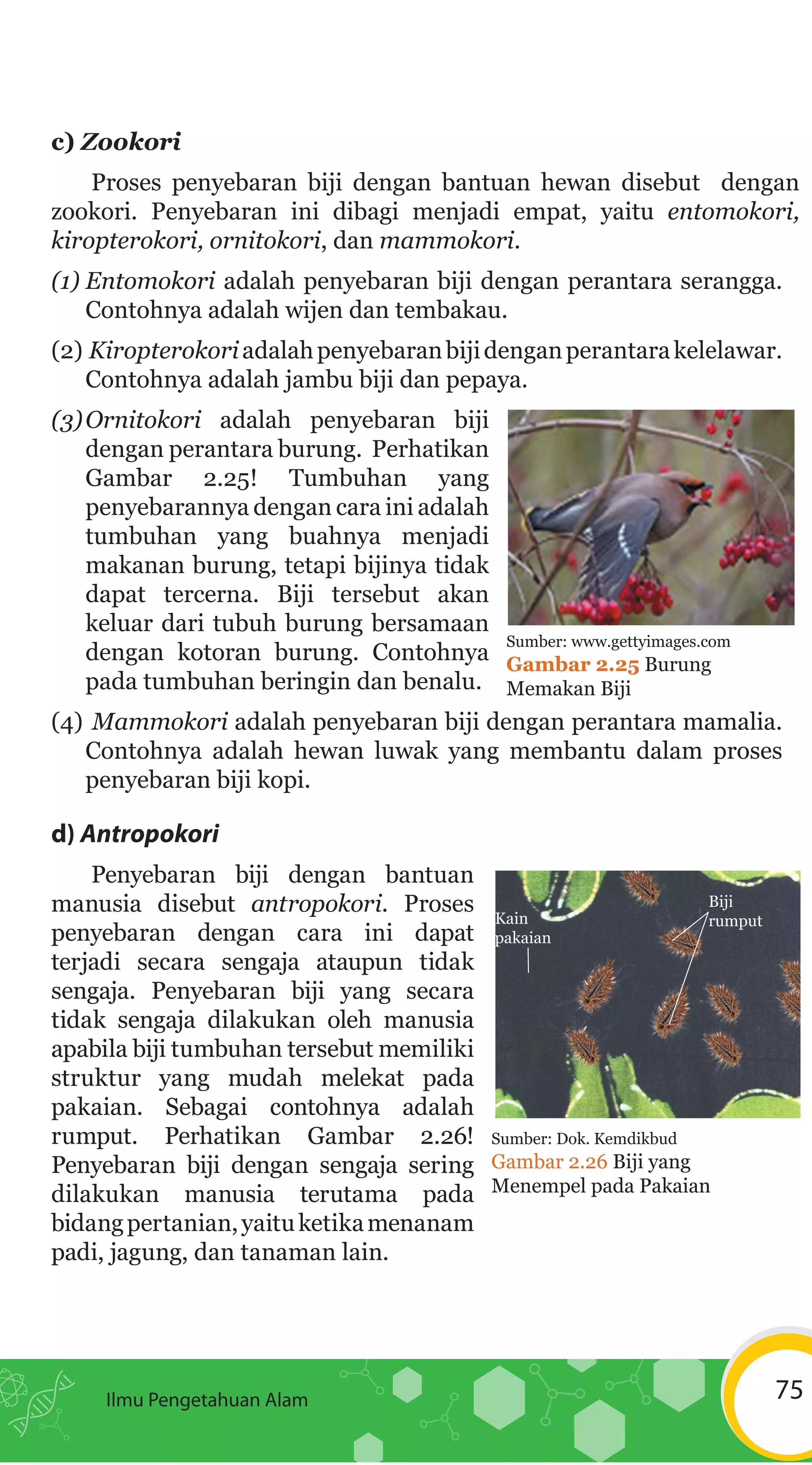Ipa9 kd2-sistem perkembangbiakan tumbuhan dan hewan | PDF