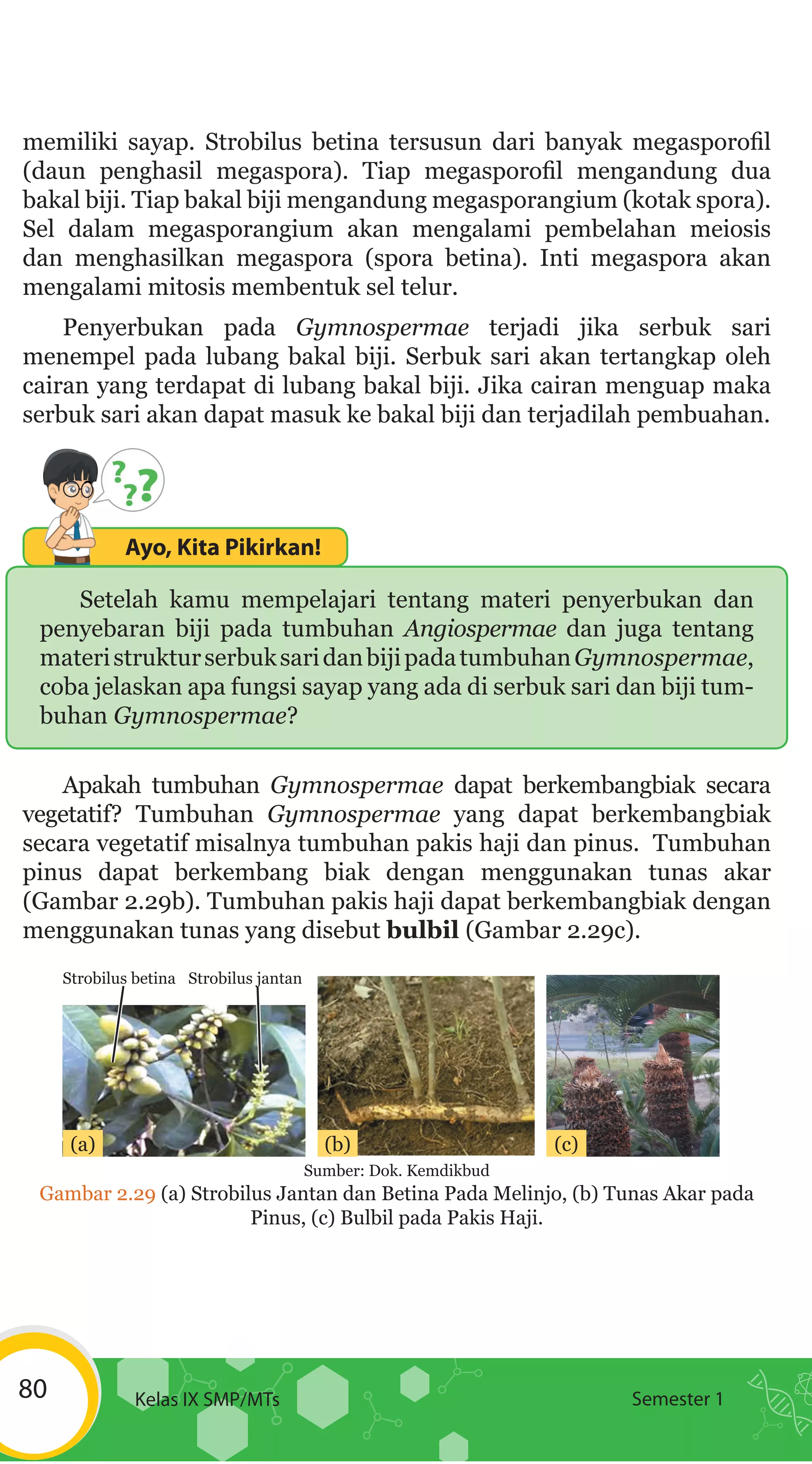 Ipa9 kd2-sistem perkembangbiakan tumbuhan dan hewan | PDF