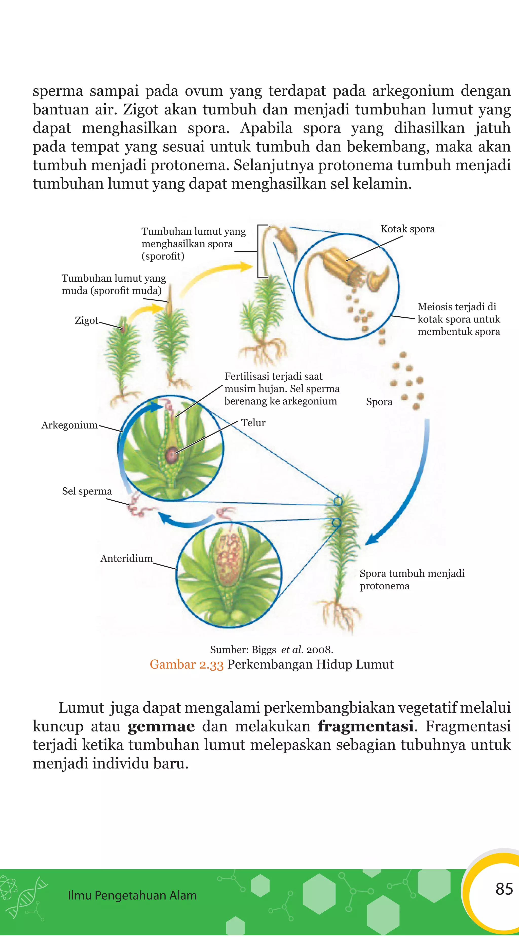 Ipa9 kd2-sistem perkembangbiakan tumbuhan dan hewan | PDF