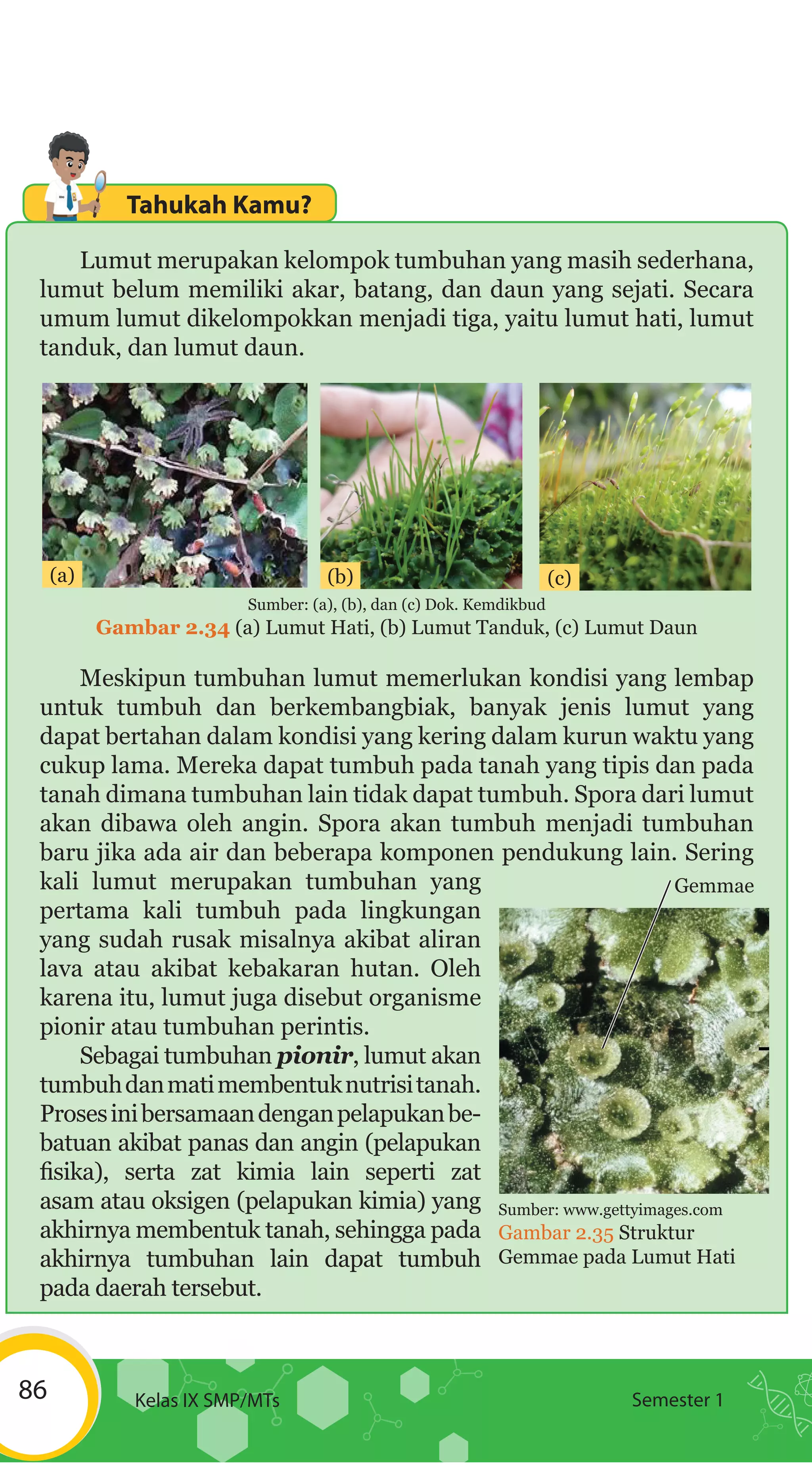 Ipa9 kd2-sistem perkembangbiakan tumbuhan dan hewan | PDF