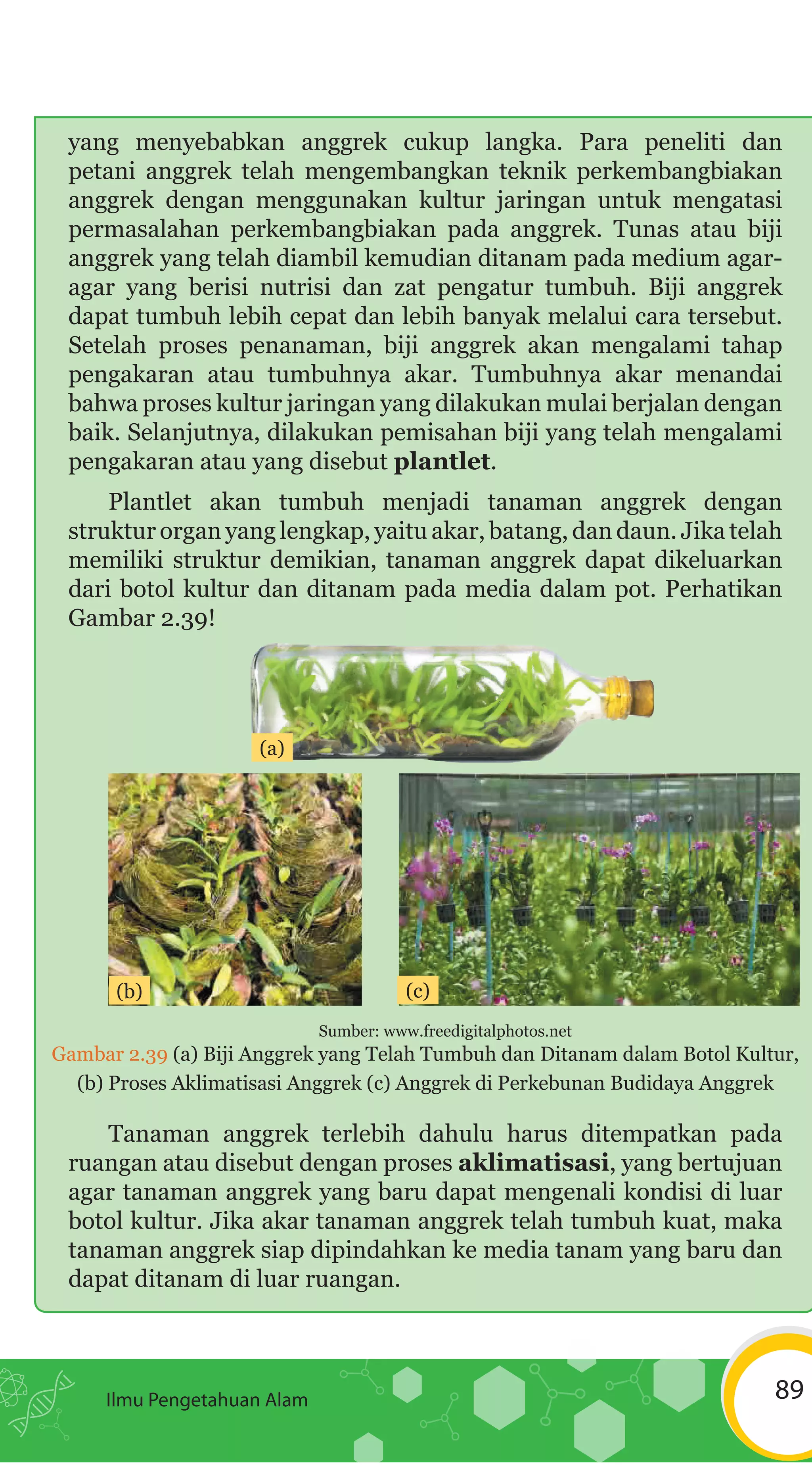 Ipa9 kd2-sistem perkembangbiakan tumbuhan dan hewan | PDF