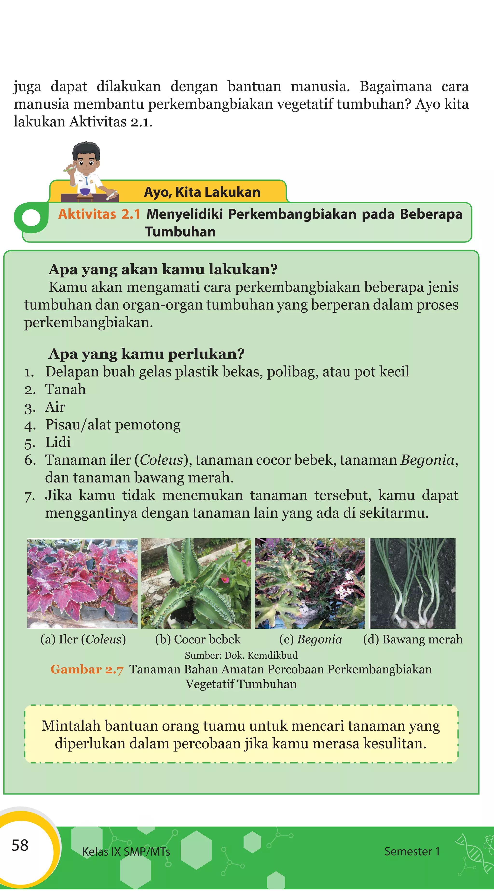 Ipa9 kd2-sistem perkembangbiakan tumbuhan dan hewan | PDF