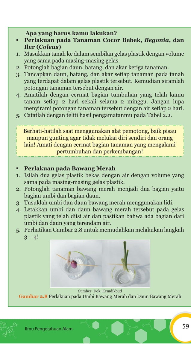 Ipa9 kd2-sistem perkembangbiakan tumbuhan dan hewan | PDF