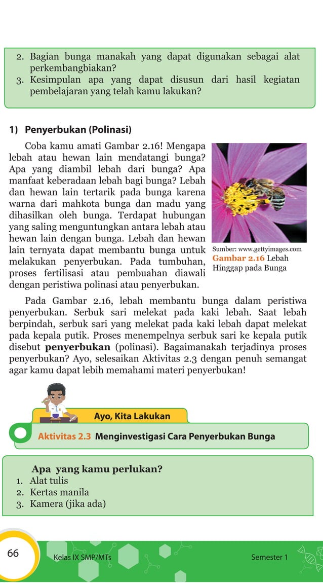 Ipa9 kd2-sistem perkembangbiakan tumbuhan dan hewan | PDF