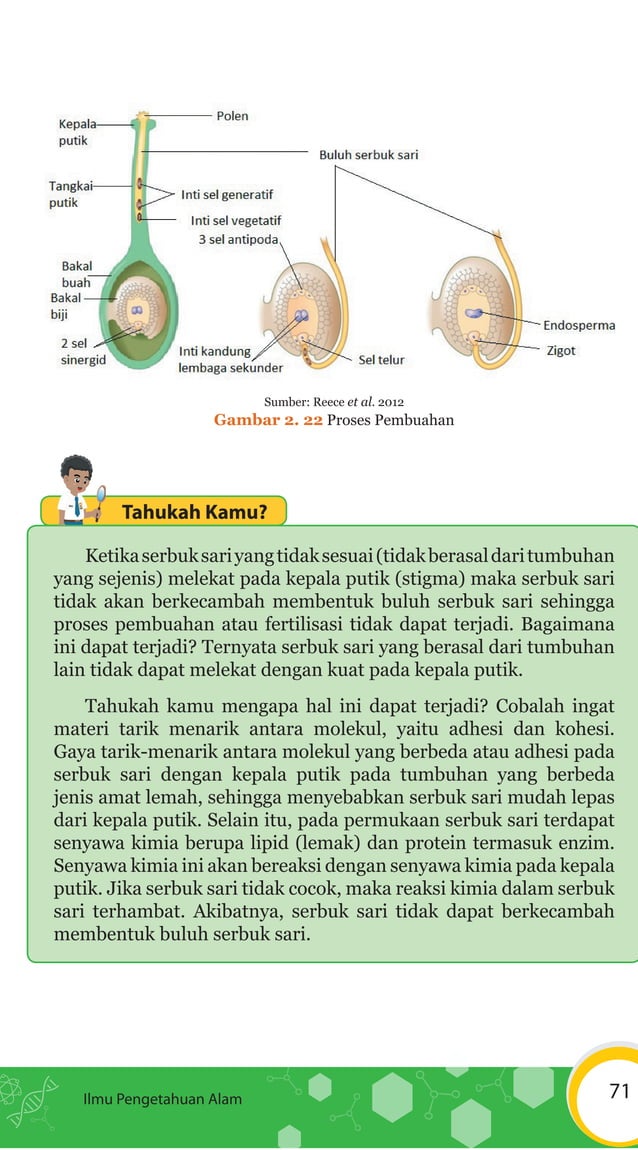 Ipa9 kd2-sistem perkembangbiakan tumbuhan dan hewan | PDF