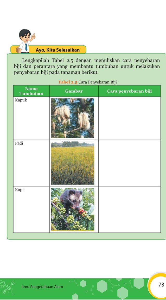 Ipa9 kd2-sistem perkembangbiakan tumbuhan dan hewan | PDF