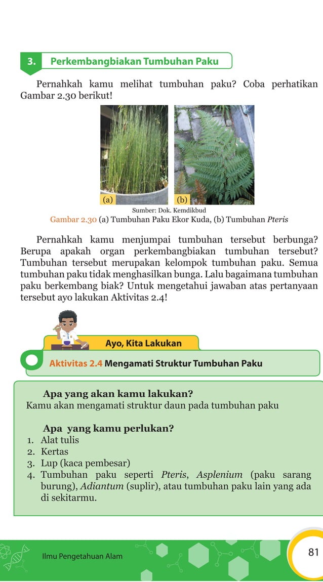 Ipa9 kd2-sistem perkembangbiakan tumbuhan dan hewan | PDF