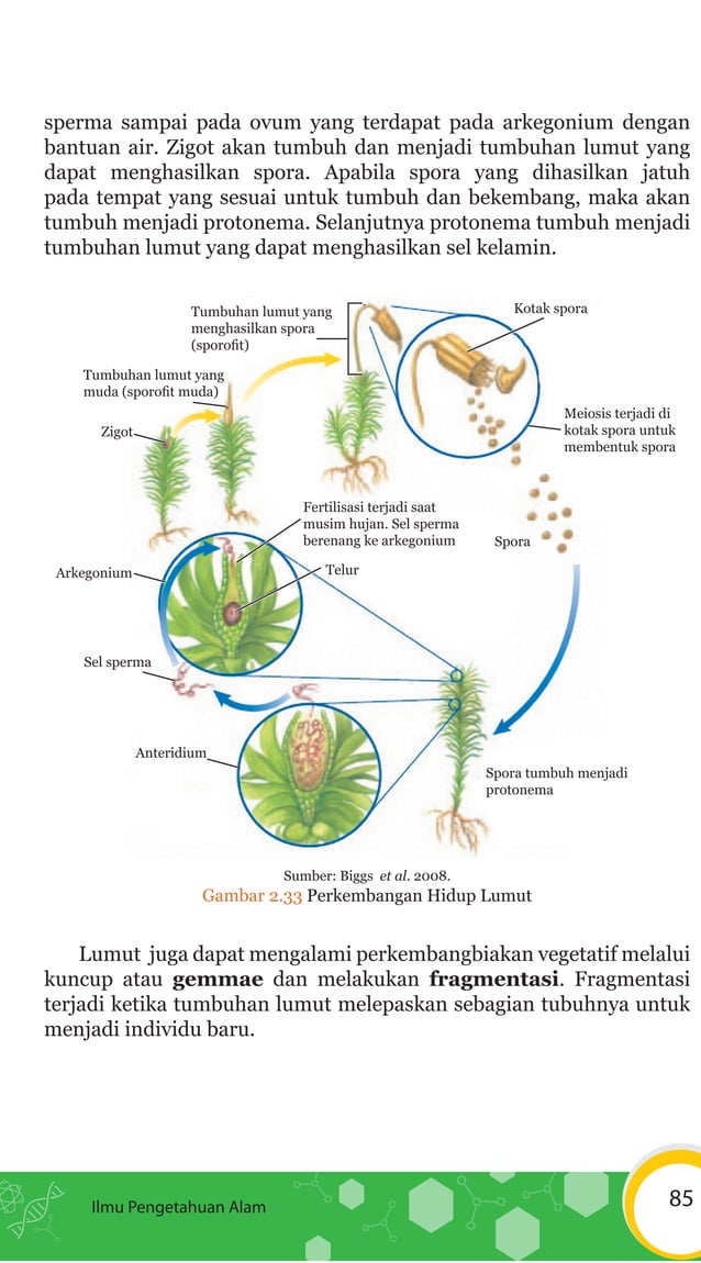 Ipa9 kd2-sistem perkembangbiakan tumbuhan dan hewan | PDF